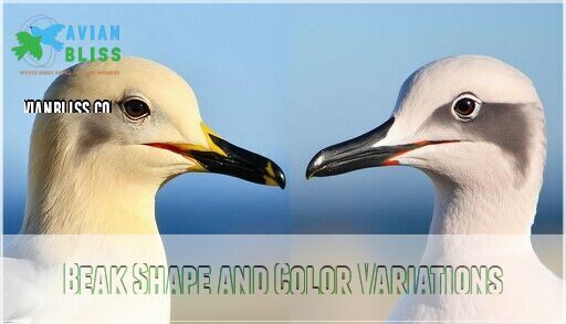 What is The State Bird of Utah? California Gull Facts & History