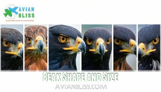 Hawks in Michigan: 15 Species ID Guide + Best Viewing Spots (2025)