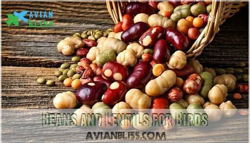 Natural Sources of Bird Calcium: Essential Foods for Healthy Birds