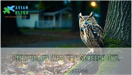 Night Birds in California: 7 Nocturnal Species You'll Hear Tonight