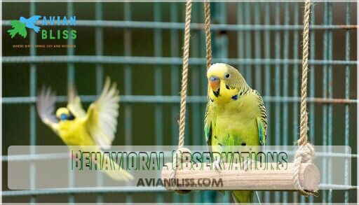 Bird Leg Problems and Treatment: Causes, Symptoms, and Effective Care