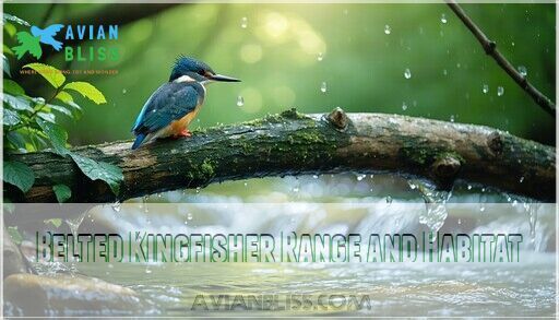 Blue Birds in Virginia: 12 Stunning Species You Must See! (2025)