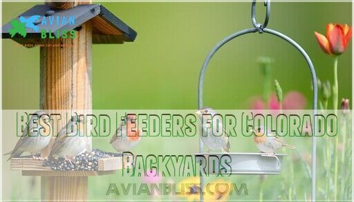 Backyard Birds of Colorado: 25+ Species You'll See in Your Yard