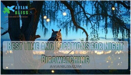 Night Birds in Texas: 8 Nocturnal Species You'll Hear After Dark