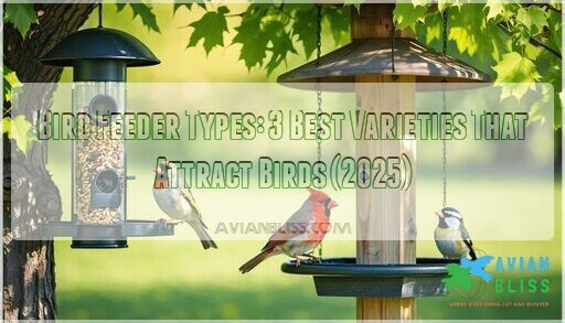 Bird Feeder Types: 3 Best Varieties That Attract Birds (2025)