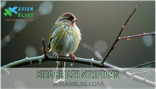Finch Unusual Droppings Symptoms: Key Signs You Should Never Ignore