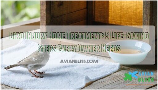 Bird Injury Home Treatment: 5 Life-Saving Steps Every Owner Needs
