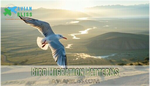 Bird Facts About Their Migration Patterns: 7 Mind-Blowing Journeys Revealed