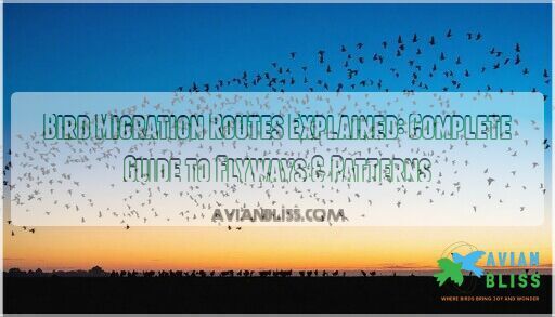 Bird Migration Routes Explained: Complete Guide to Flyways & Patterns