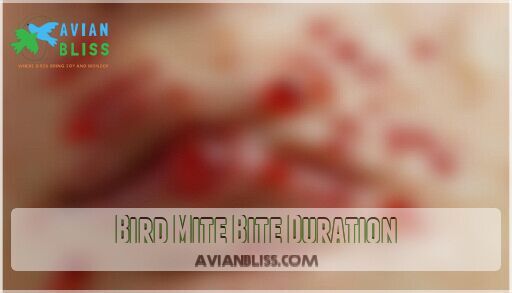 Are Bird Mites Harmful? Risks, Bites & Treatment Guide 2025