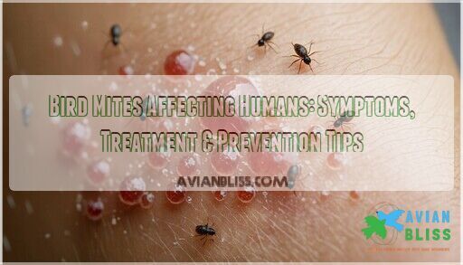 Bird Mites Affecting Humans: Symptoms, Treatment & Prevention Tips