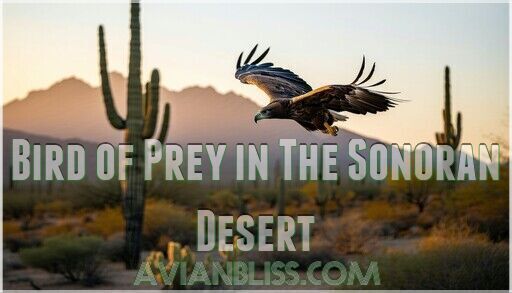 Arizona Birds of Prey: 23 Magnificent Raptors (With Pictures!)