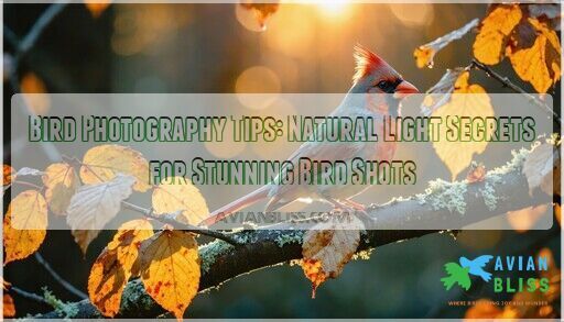 Bird Photography Tips: Natural Light Secrets for Stunning Bird Shots