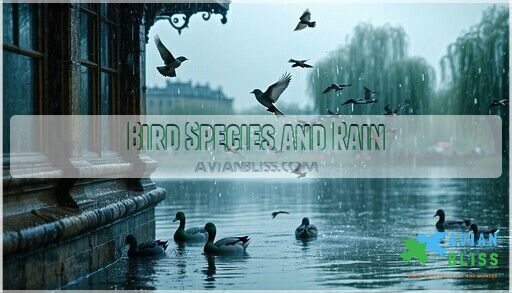 Do Birds Fly in The Rain? Learn How They Survive Wet Weather