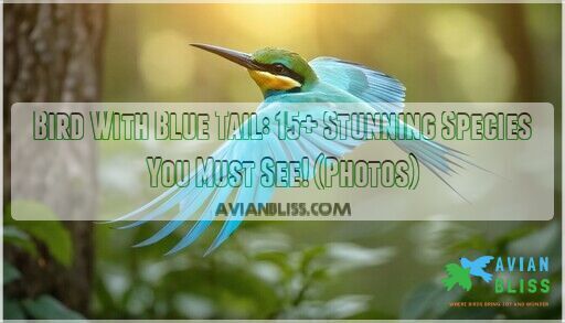 Bird With Blue Tail: 15+ Stunning Species You Must See! (Photos)