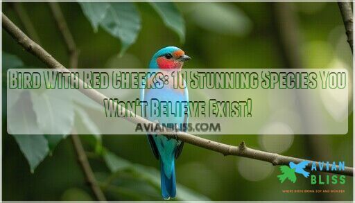 Bird With Red Cheeks: 10 Stunning Species You Won't Believe Exist!