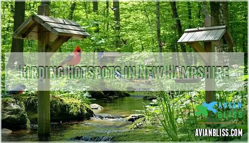 Backyard Birds of New Hampshire: Common Species Guide (2025)
