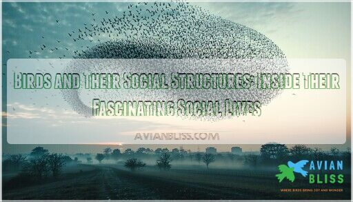 Birds and Their Social Structures: Inside Their Fascinating Social Lives