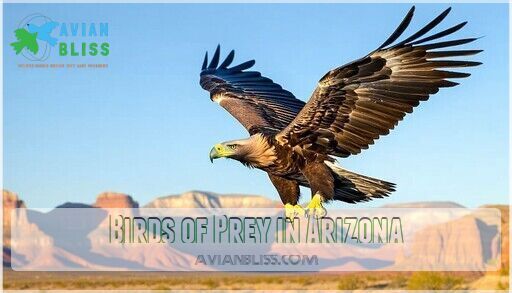Common Birds in Arizona: Complete Guide With Photos & ID Tips (2025)