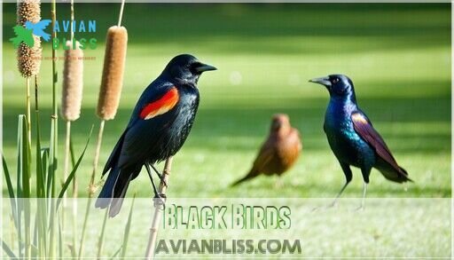 Backyard Birds of North Dakota: 25+ Species With ID Guide & Photos