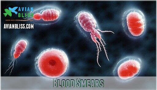 Types of Parasites in Birds: Signs, Treatment & Prevention Guide