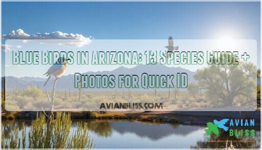 Blue Birds in Arizona: 13 Species Guide + Photos for Quick ID