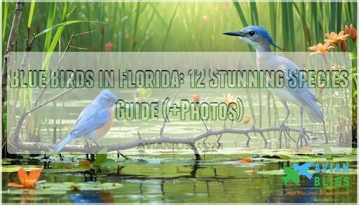 Blue Birds in Florida: 12 Stunning Species Guide (+Photos)