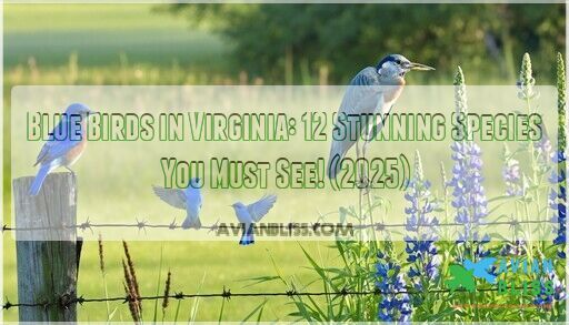 Blue Birds in Virginia: 12 Stunning Species You Must See! (2025)