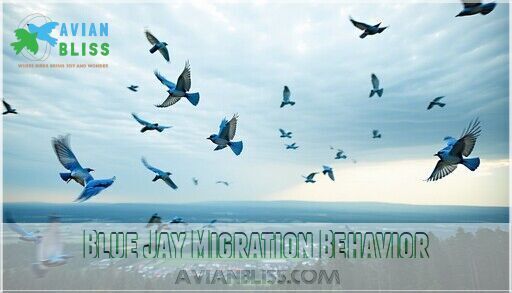 Do Blue Jays Migrate? Learn About Their Unique Patterns & Behavior