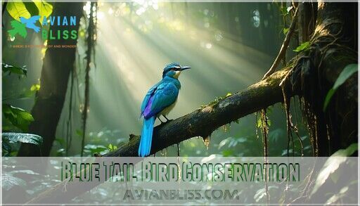 Bird With Blue Tail: 15+ Stunning Species You Must See! (Photos)