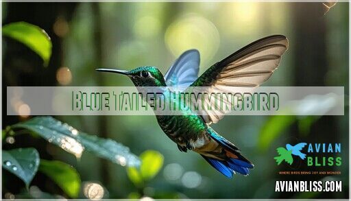 Bird With Blue Tail: 15+ Stunning Species You Must See! (Photos)