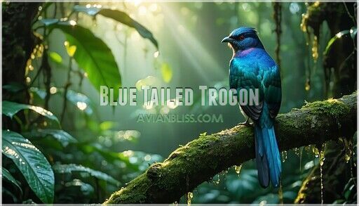 Bird With Blue Tail: 15+ Stunning Species You Must See! (Photos)