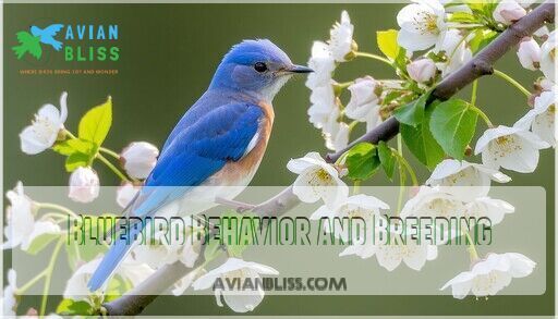 Blue Birds in Pennsylvania: Complete Guide + Stunning Photos