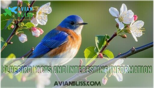 Blue Birds in Pennsylvania: Complete Guide + Stunning Photos