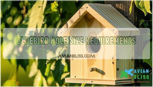 What Size Hole Birdhouse: Complete Species Guide & Chart 2025