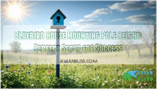 Bluebird House Mounting Pole Height: Perfect Setup for Success