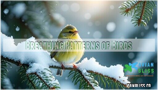 How Does a Bird Get Oxygen? The Amazing Respiratory System Revealed