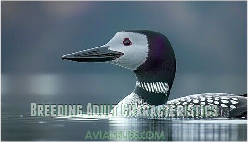 Pacific Loon: Complete Guide to ID, Habitat, Behavior & Conservation