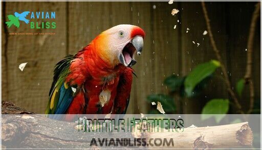 Feather Plucking Causes Nutritional Deficiency: Signs & Solutions