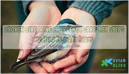 Broken Bird Wing Emergency Care: Key Steps to Help Injured Birds