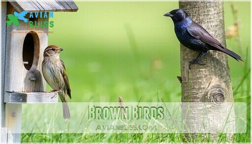 Backyard Birds of North Dakota: 25+ Species With ID Guide & Photos