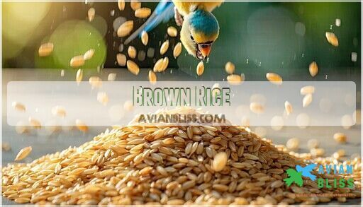 Can Birds Eat Rice? The Surprising Truth Every Bird Owner Needs!