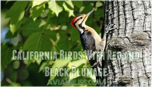 Red Birds in California: 25 Stunning Species + ID Guide (2025)