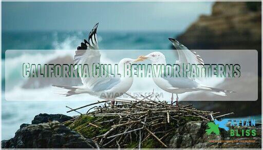What is The State Bird of Utah? California Gull Facts & History