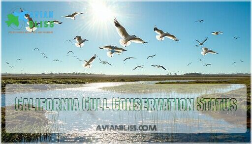 What is The State Bird of Utah? California Gull Facts & History