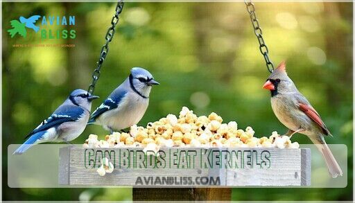 Can Birds Eat Popcorn Kernels? Safe Feeding Tips & Warnings!