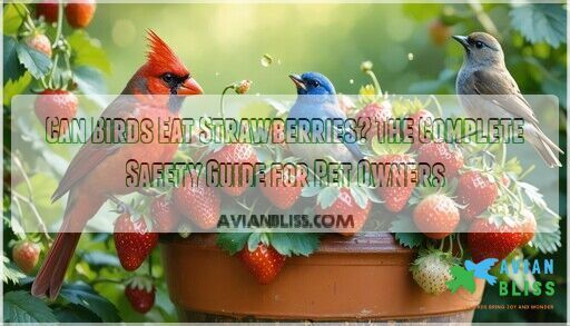 Can Birds Eat Strawberries? The Complete Safety Guide for Pet Owners