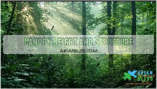 What is Ideal Bird Habitat: 7 Essential Features Every Bird Needs