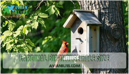 What Size Hole Birdhouse: Complete Species Guide & Chart 2025