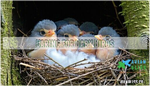 Baby Birds: Complete Guide to Care, Identification & Development